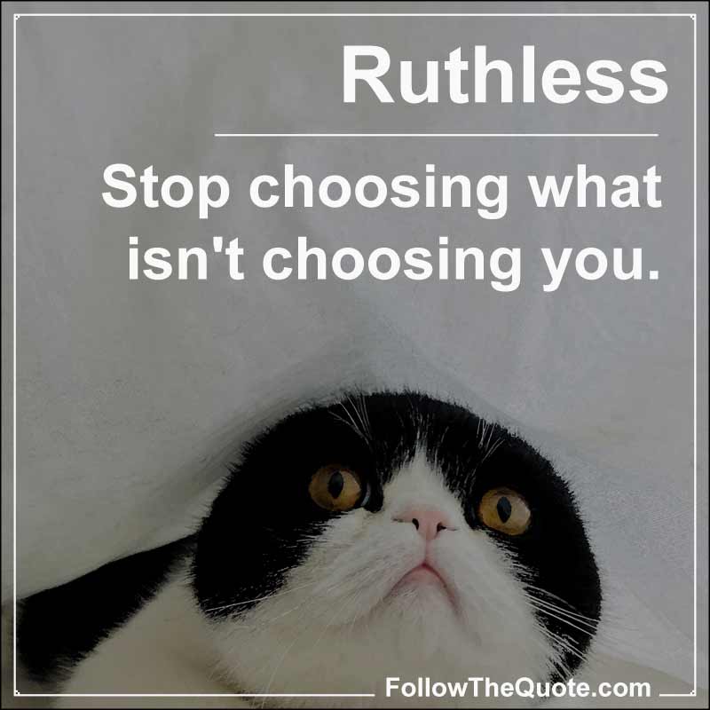 Stop choosing what isn't choosing you | FollowTheQuote.com Stop choosing what isn't choosing you | FollowTheQuote.com